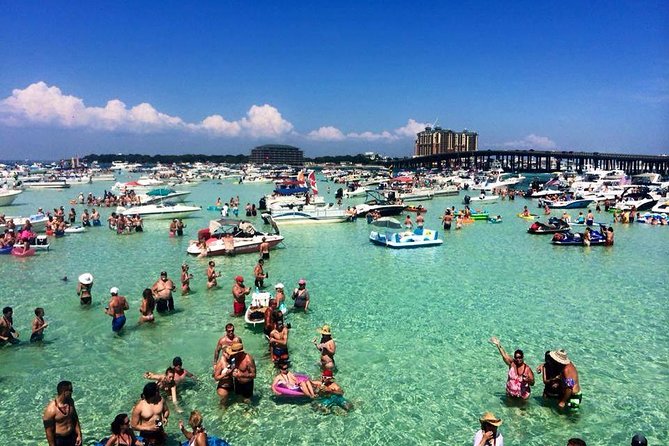 Destin: Private Snorkel/Shelling/Eco Excursion for Up to 28 - The Experience in Detail