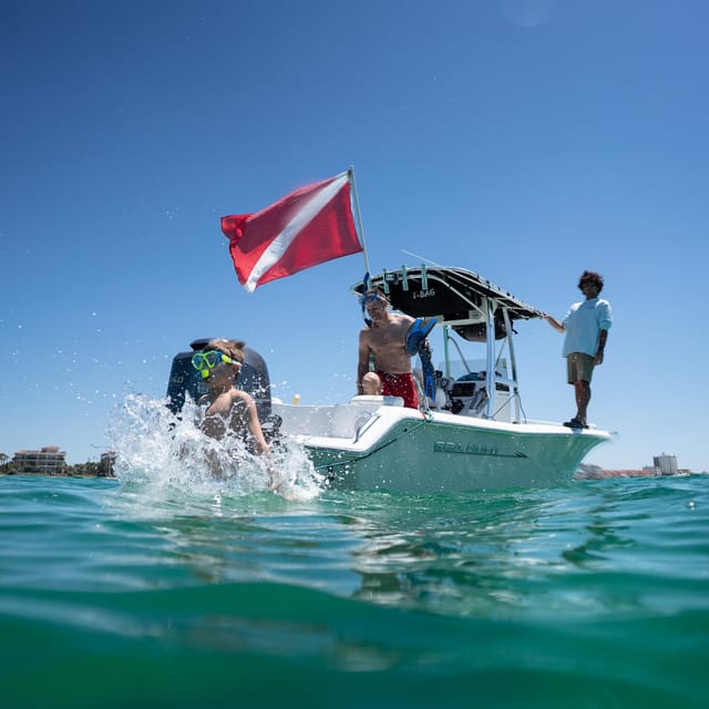 Destin: Snorkeling, Dolphins, and Crab Island - Why This Tour Can Be a Great Choice