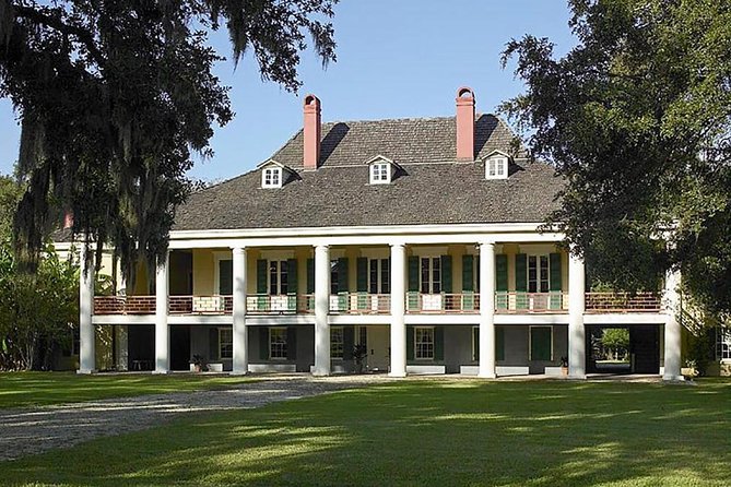 Destrehan Plantation and Swamp Tour from New Orleans - Transition to the Wetlands: The Swamp Adventure