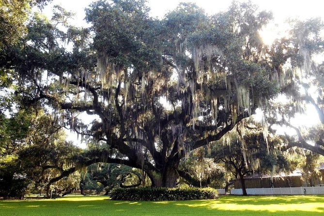 Destrehan Plantation and Swamp Tour from New Orleans - Who Should Consider This Tour?
