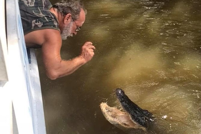 Destrehan Plantation and Swamp Tour from New Orleans - Final Thoughts