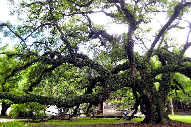 Destrehan Plantation Tour - FAQs