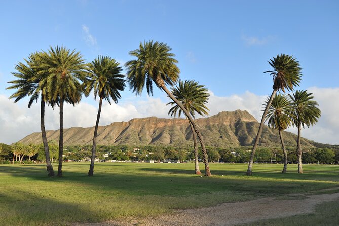 Diamond Head Hiking Experience with Roundtrip Transportation - Who Will Love This Tour