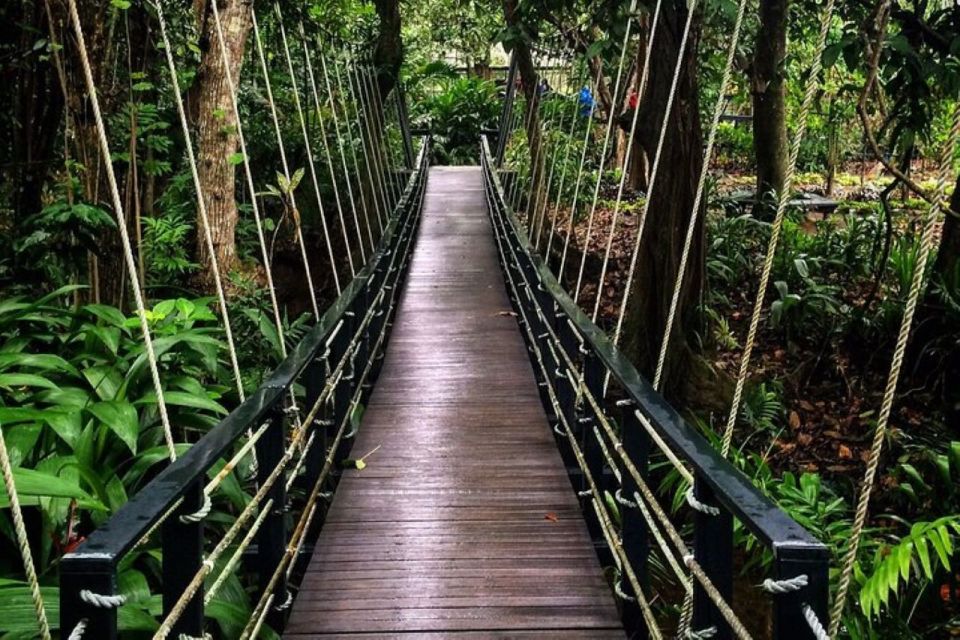 Discover Fijian Culture and Reptiles - Practical Details You Need to Know