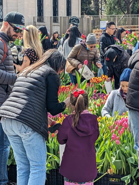 Discover Manhattan's Hidden Gems - Why This Tour Is a Great Value