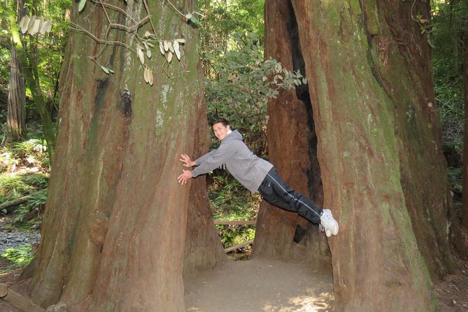 Discover Point Reyes National Seashore & Muir Woods Redwoods - Step-by-Step Breakdown of the Itinerary