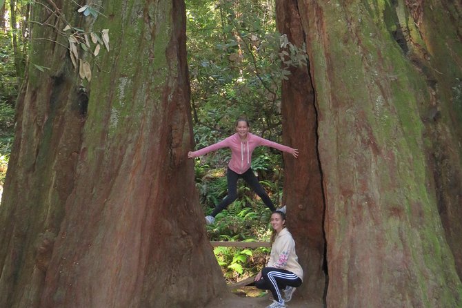 Discover Point Reyes National Seashore & Muir Woods Redwoods - Authentic Experiences and the Guide’s Impact