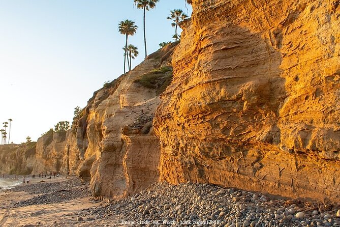 Discover San Diego's Beaches: Private Driving Tour - Who Is This Tour Best For?