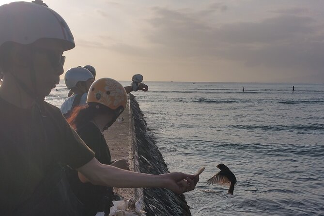 Dole,Garlic Shrimp, Northshore Customizable Group Priced Tour - What to Expect from the Itinerary