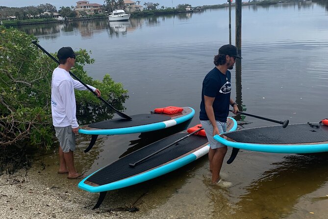 Dolphin and Manatee Adventure Tour of Sarasota with Olde Florida History!