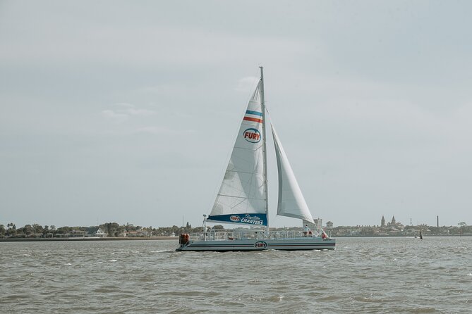 Dolphin Watch & Harbor Tour in Historical St. Augustine - Pricing & Value Analysis
