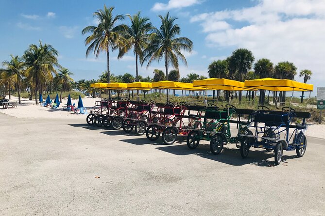Double Quadricycle/Surrey Rental at Crandon Park - Final Thoughts