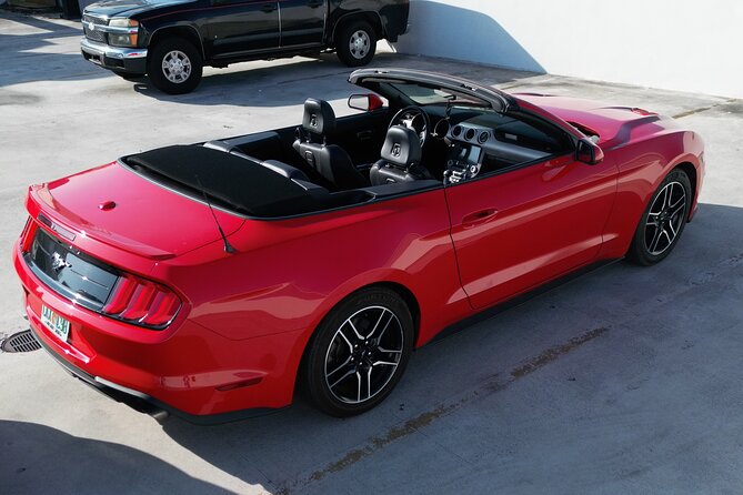 Drive a Mustang Convertible - Exploring the Mustang Convertible Rental Experience in Miami