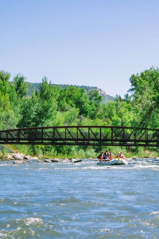 Durango 3/4 Day Rafting Trip with Lunch - Lower Animas River - What to Expect During the Trip