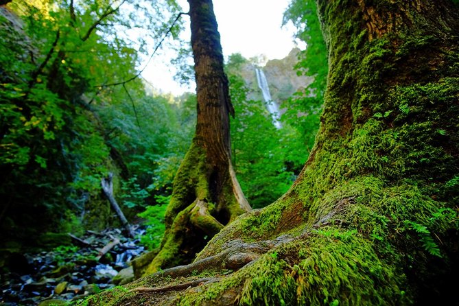 E-bike in Oregons Columbia River Gorges - Who Will Love This Tour?