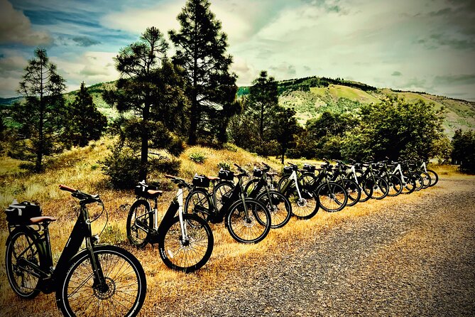 E Bike Rental in Hood River - Key Points