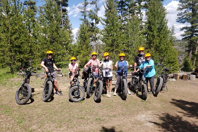 E-Bike Tours in Yellowstone National Park - Practical Considerations