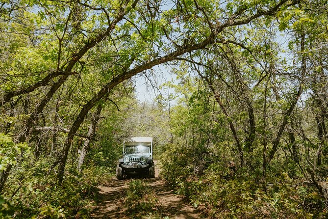 East Zion Brushy Cove Jeep Tour - The Basics of the East Zion Brushy Cove Jeep Tour