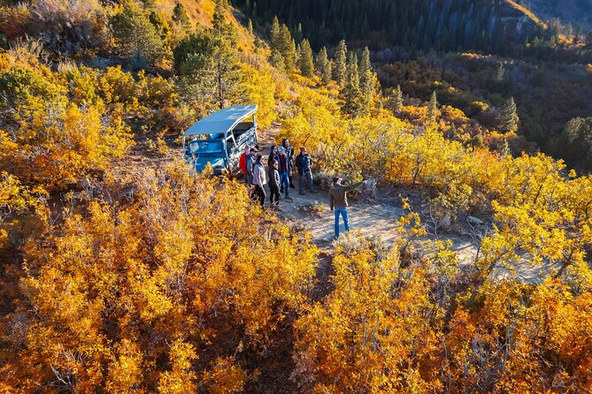 East Zion Brushy Cove Jeep Tour - Authentic Experiences Based on Reviews