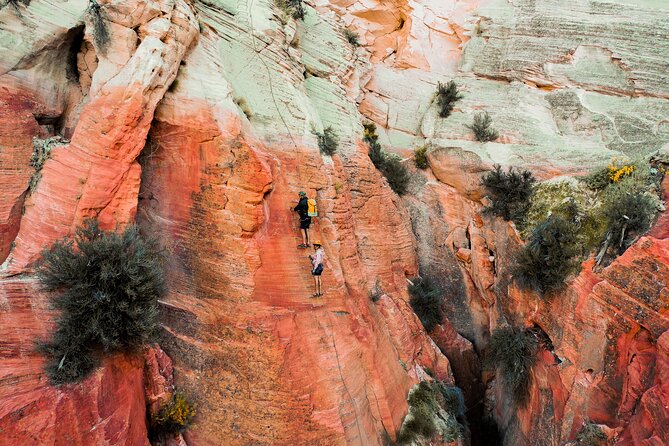 East Zion Elk Heart Cliffs Via Ferrata and Rappelling (3Hr) - What to Expect from the East Zion Elk Heart Cliffs Via Ferrata and Rappelling Tour