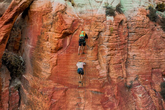East Zion Elk Heart Cliffs Via Ferrata and Rappelling (3Hr) - How the Tour Stands Out