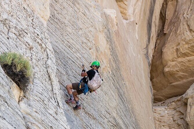 East Zion Elk Heart Cliffs Via Ferrata and Rappelling (3Hr) - The Sum Up
