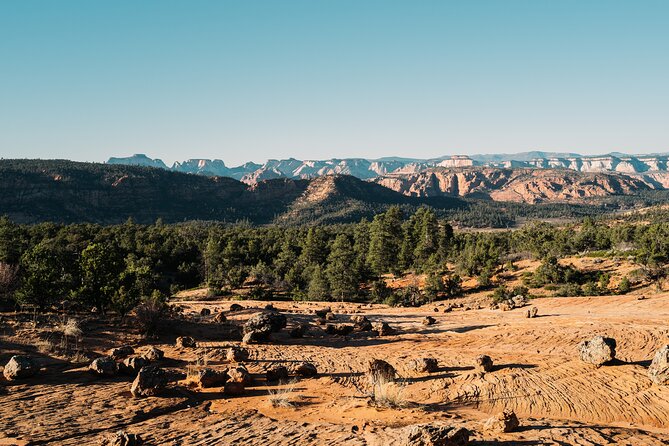East Zion Outback UTV Tour with Licensed Guide - Discover the East Zion Outback UTV Tour with a Licensed Guide