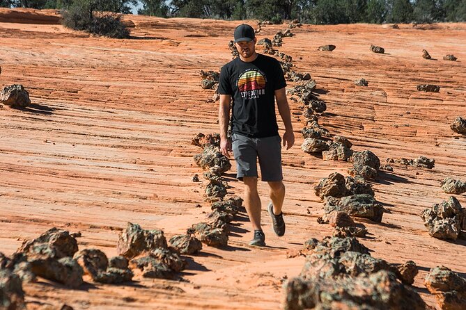East Zion Outback UTV Tour with Licensed Guide - Key Points