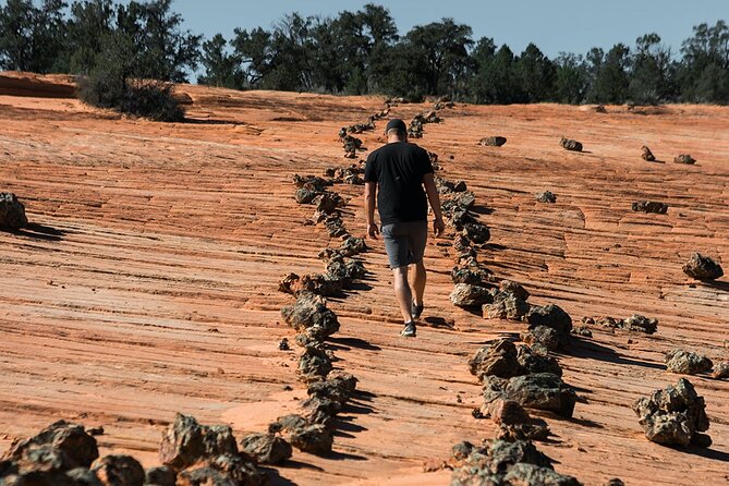 East Zion Outback UTV Tour with Licensed Guide - Who Will Enjoy This Tour?