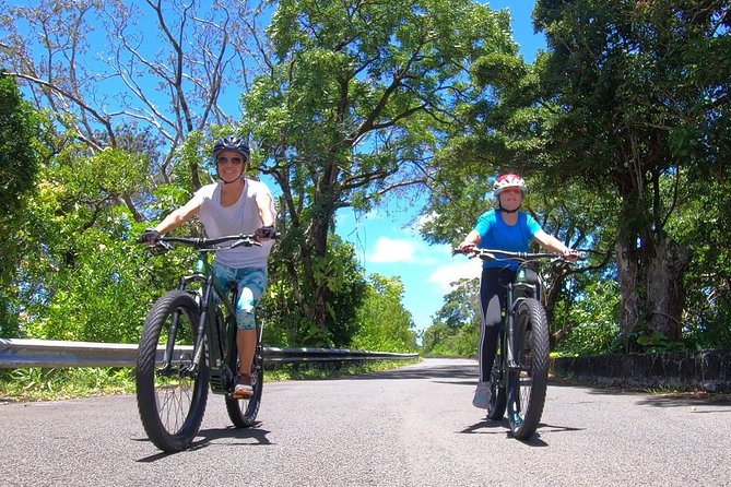 eBike Tour Honolulu Rainforest - The Itinerary: What to Expect