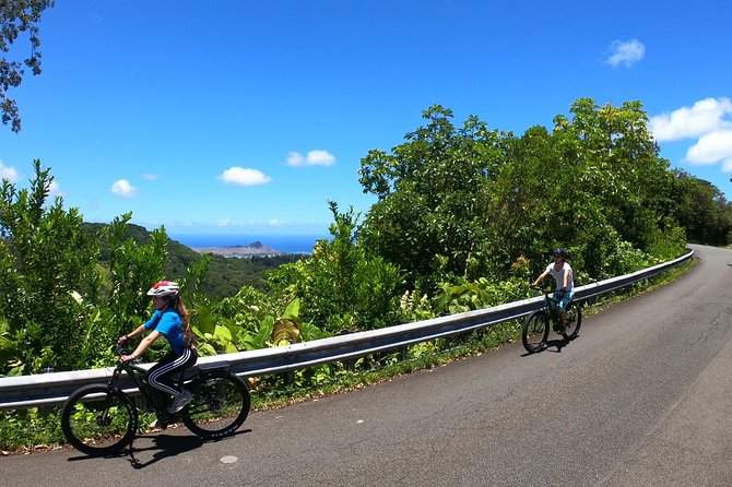 eBike Tour Honolulu Rainforest - Guides and Personal Touches