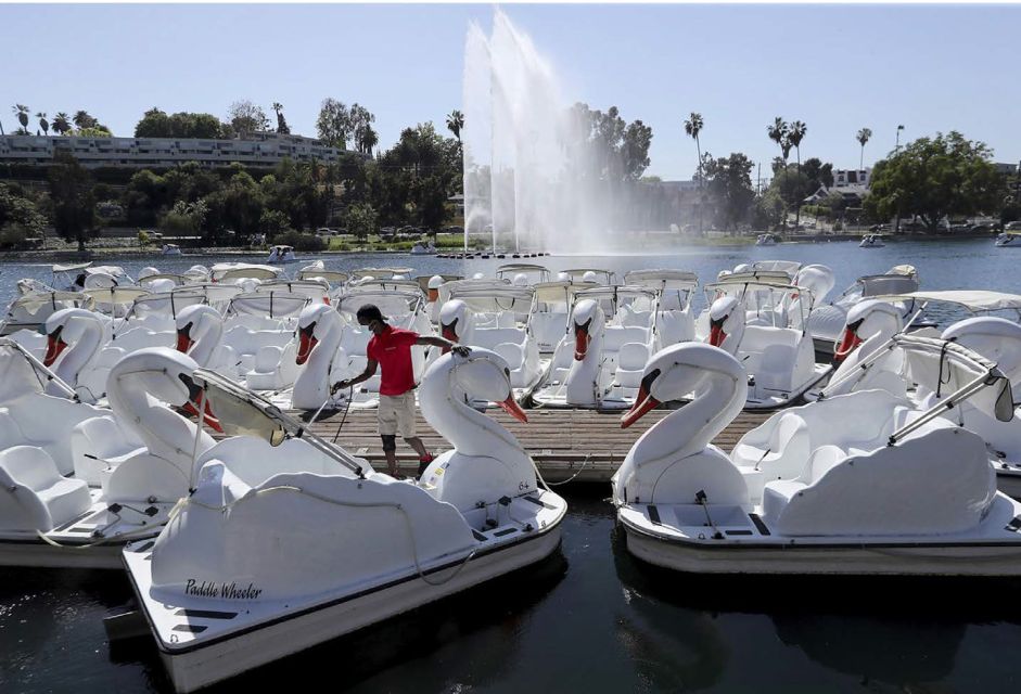 Echo Park Lake: Swan Pedal Boat Rental - Deep Dive into the Itinerary and Highlights