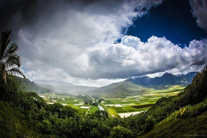 Eco-adventure friendly Aloha Island Tour - Why This Tour Stands Out