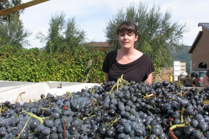 Embark on an Epic Muir Woods and Wine Country Adventure! - Final Thoughts