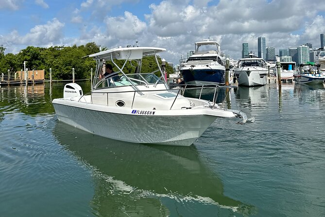 Enjoy Miami aboard our Proline 24ft - Review of the Miami Boat Tour on a 24ft Proline
