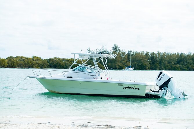 Enjoy Miami aboard our Proline 24ft - Who Should Consider This Tour?