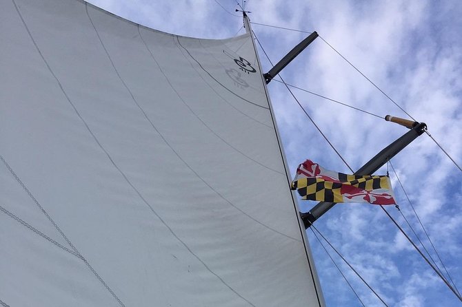 Enjoying A Beautiful Day With Mother Nature Cruises - An In-Depth Look at the Chesapeake Bay Sailing Experience