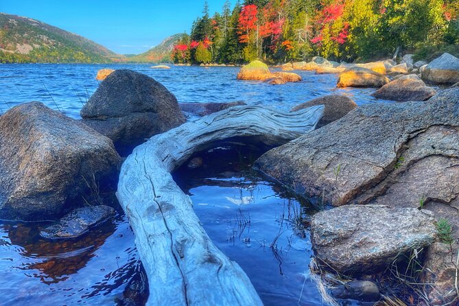 Essence of Portland: Private Tour: Lighthouses and Nature - Exploring Portlands Coastal Treasures