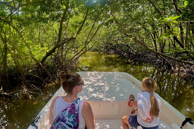 Everglades Mangrove Wilderness Boat Tour