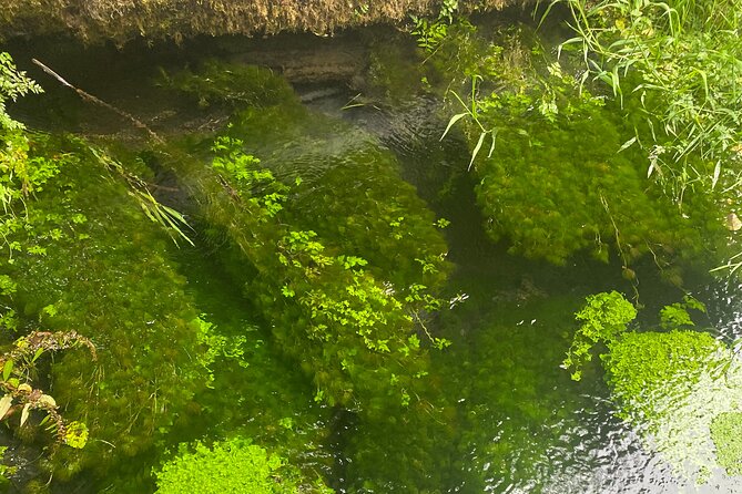 Exclusive: Rainforest and Olympic National Park from Seattle - Areas for Consideration