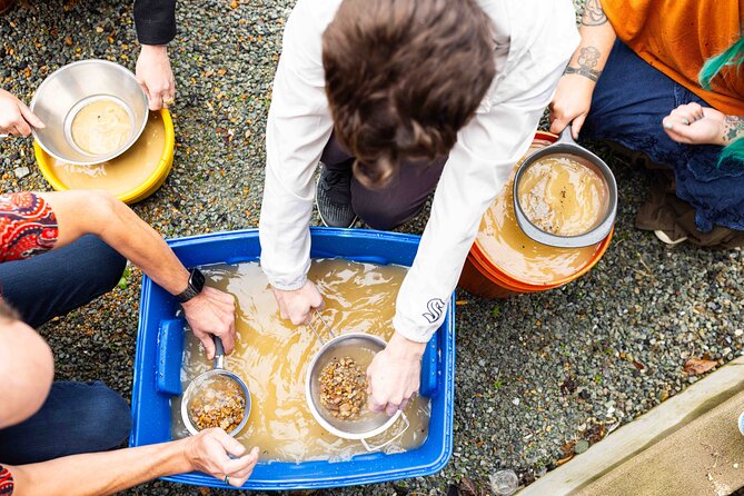 Experience Mining For Genuine Montana Sapphires in Seattle - Practical Tips for Your Visit