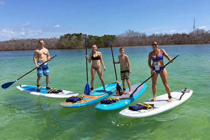 Explore the Mangrove Creeks with an ALL Day Tandem Kayak Rental - Exploring the Mangrove Creeks with an All-Day Tandem Kayak Rental: A Detailed Review
