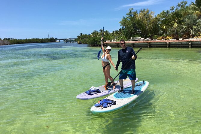 Explore the Mangrove Creeks with an ALL Day Tandem Kayak Rental