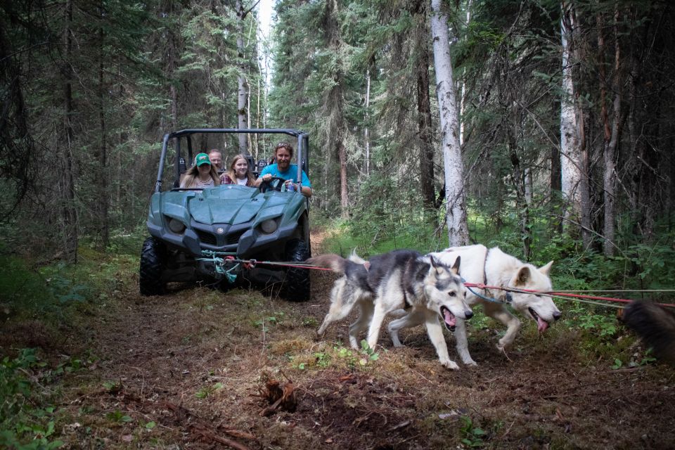Fairbanks: Summer Mushing Cart Ride and Kennel Tour - Why Choose This Tour?