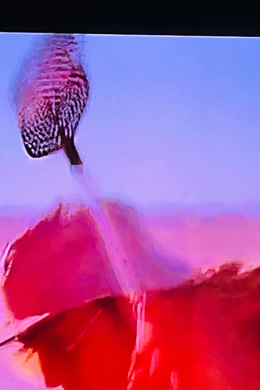 Fear And Loathing Experience! - The Experience: Details and Practical Insights