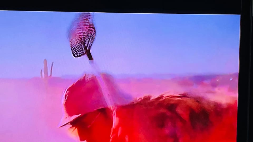 Fear And Loathing Experience! - Why This Tour Is a Good Choice