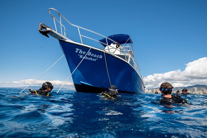 First Time Introductory Scuba Dive - Who Will Love This Experience?