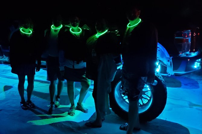 Florida Bioluminescence Kayaking Tour (Titusville) - The Sum Up