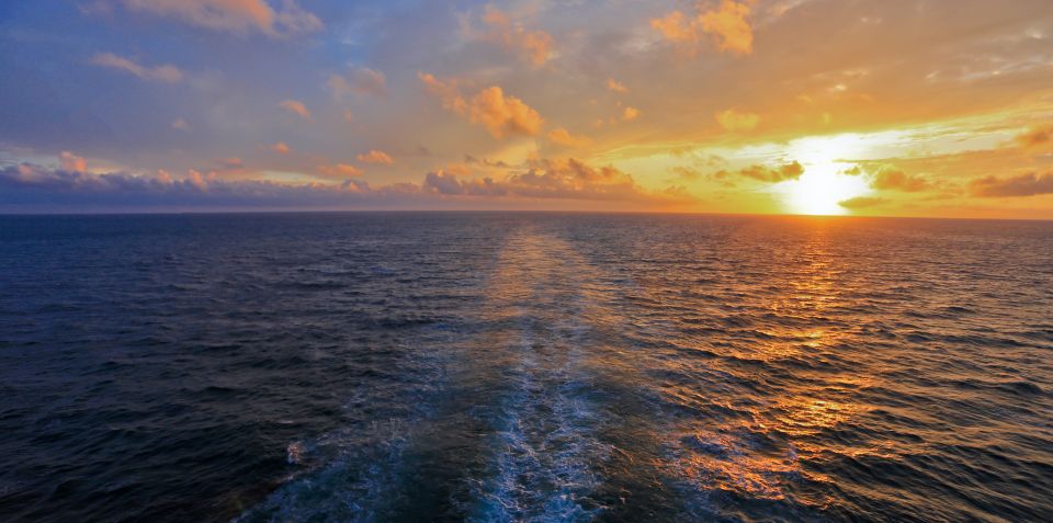 Florida: Emerald Coast Sunset & Dolphin Cruise with Guide
