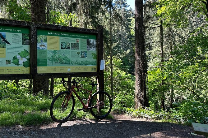 Forest Park Carbon Gravel Bike and E-Bike Tour - The Value of This Experience